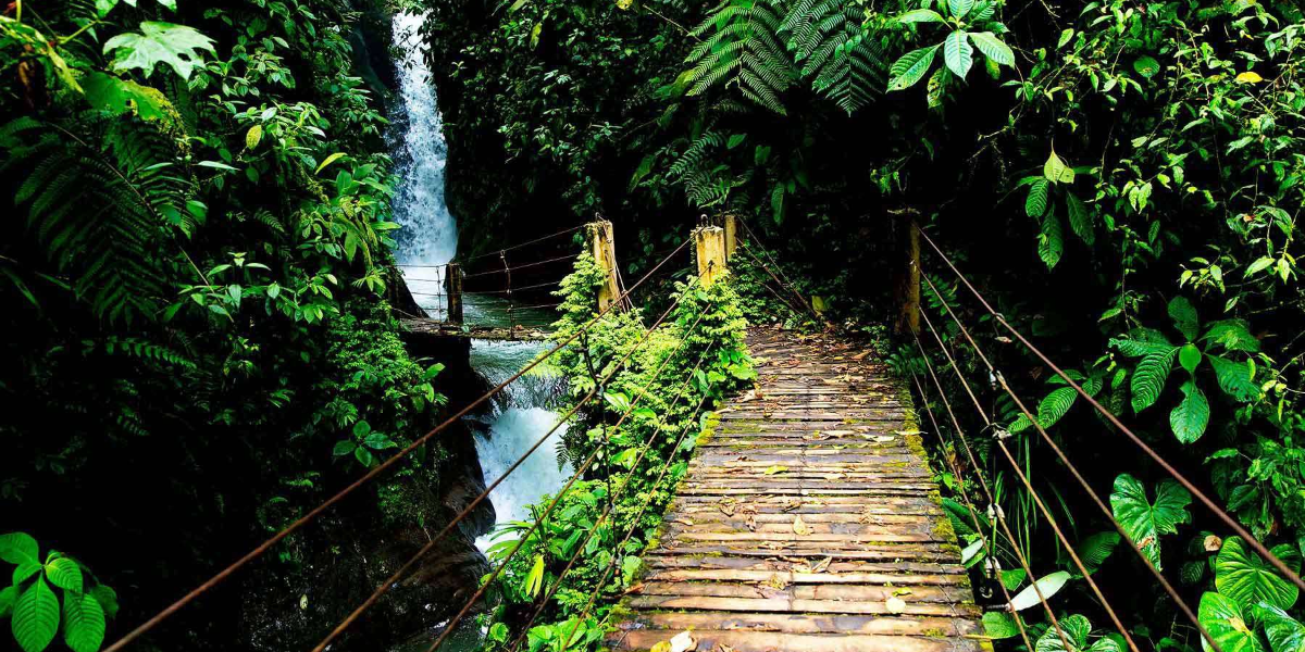 Mindo Day Trip: Birdwatching, Waterfalls & Adventures in Ecuador