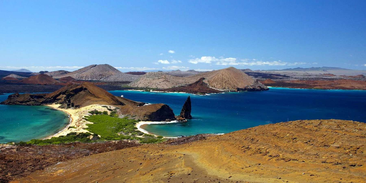 Top best day tours in Galapagos try them out now!