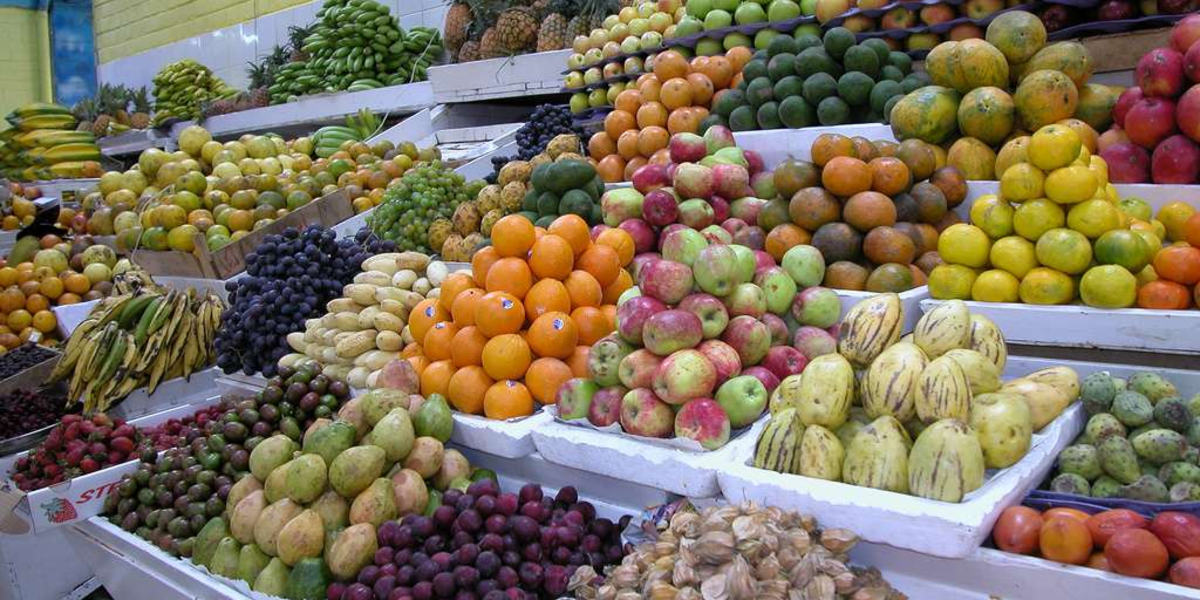 The best food you can find in Ecuador